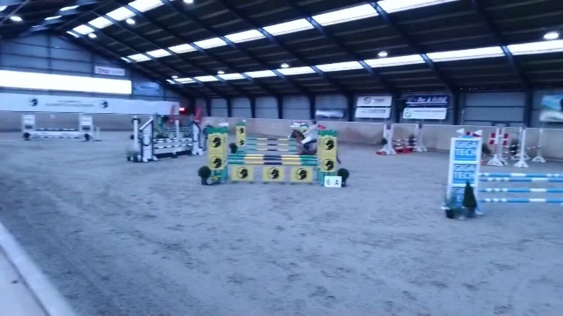 Hest til salg: West Side Blue Hit (208333WE0602453) - Gude smuk all ...