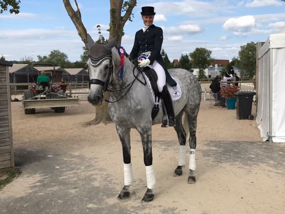 Anne Blomgren og Quattro på svensk A-hold - Nyheder - Heste-Nettet.dk
