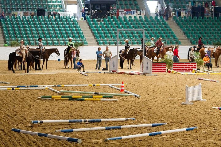 En hest i et spil Mikado - Nyheder - Heste-Nettet.dk